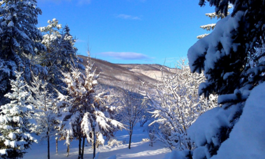 Disa kuriozitete për dimrin, që nuk i keni menduar asnjëherë - Lajmet e ...