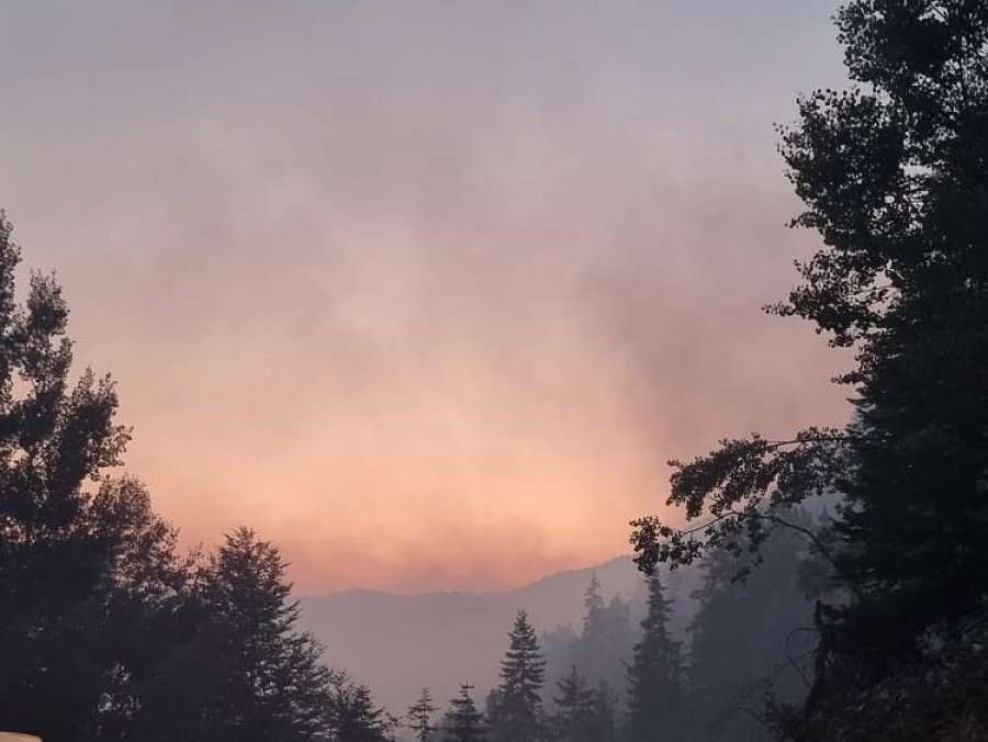 Shpërthen zjarri në malet e Rugovës, intervenon Policia, FSK-ja dhe ...