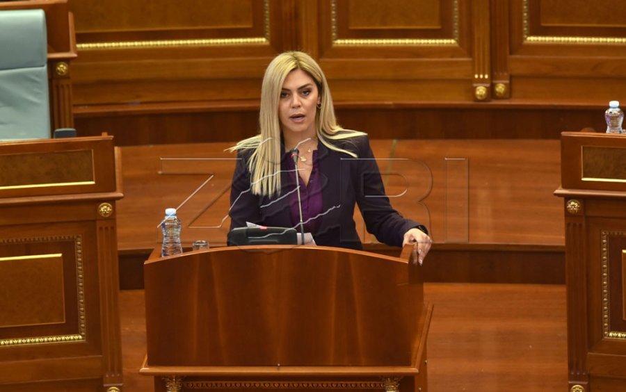 Projektligji për KPM-në, Deliu-Kodra akuzon Qeverinë se po tenton të ...