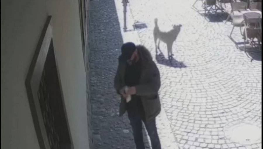 Grisja e Kuranit në Prizren, Policia nis hetimet - Lajmet e fundit - Zëri