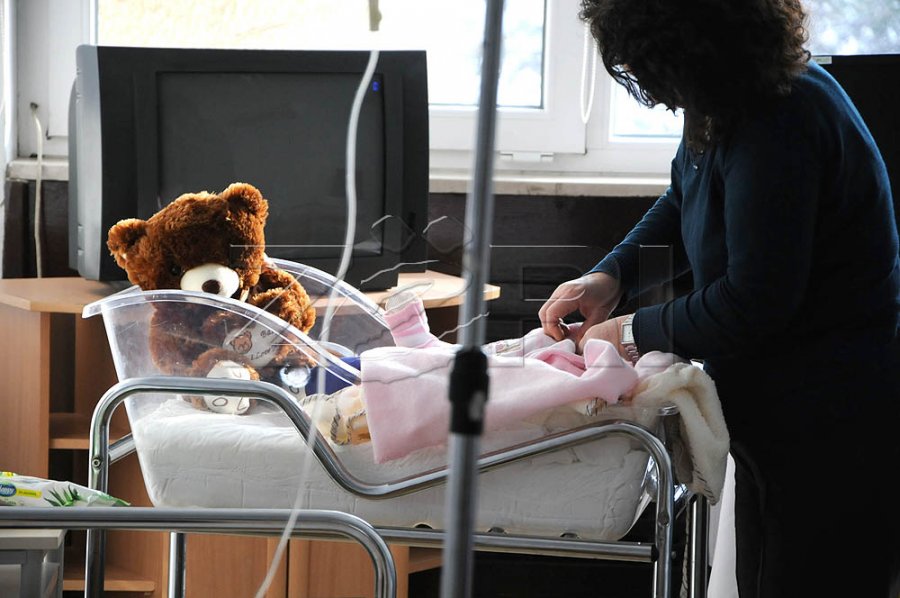 Bie numri i lindjeve në muajin gusht, krahasuar me muajin korrik 2025 ...